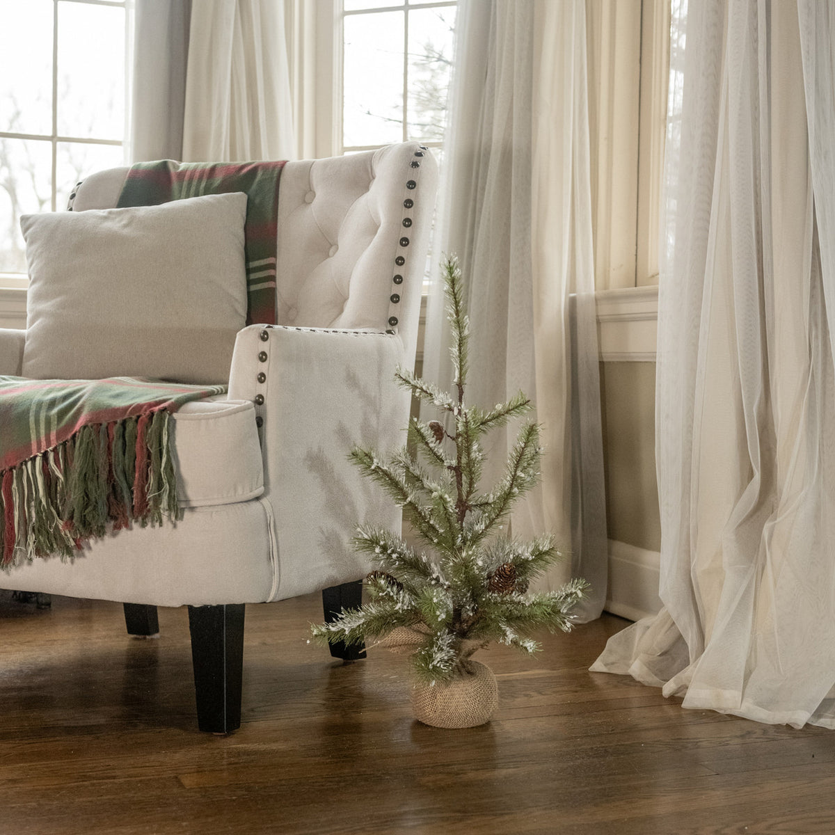 2' SNOWY PINE TREE – Robyn's Cookies & Co